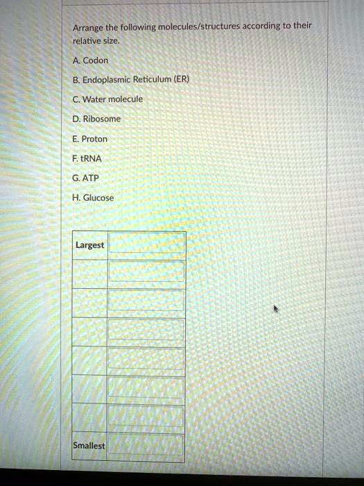SOLVED: Arrange the following molecules/structures according to their relative size: Codon ...