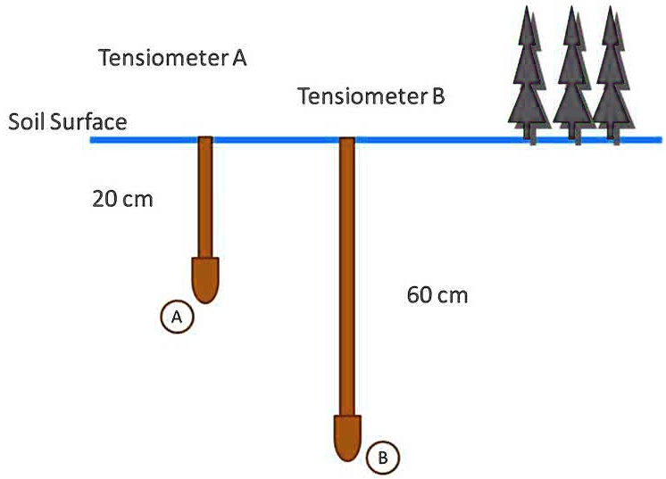 Tensiometer A Soil Surface 20 cm A Tensiometer B 60 cm B