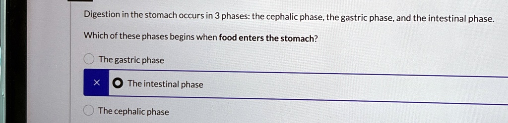 digestion in the stomach occurs in 3 phases the cephalic phase the ...