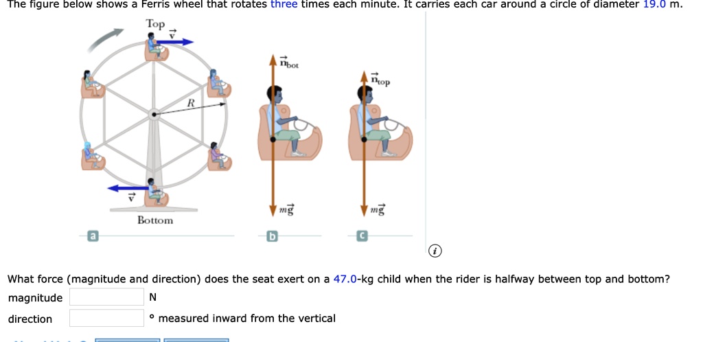 the figure below shows a ferris wheel that rotates three times each ...