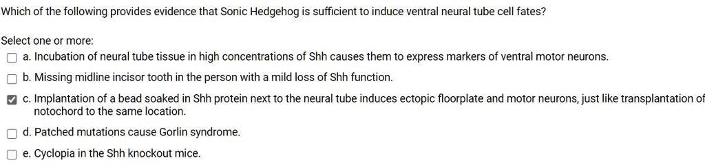 Which of the following provides evidence that Sonic Hedgehog...