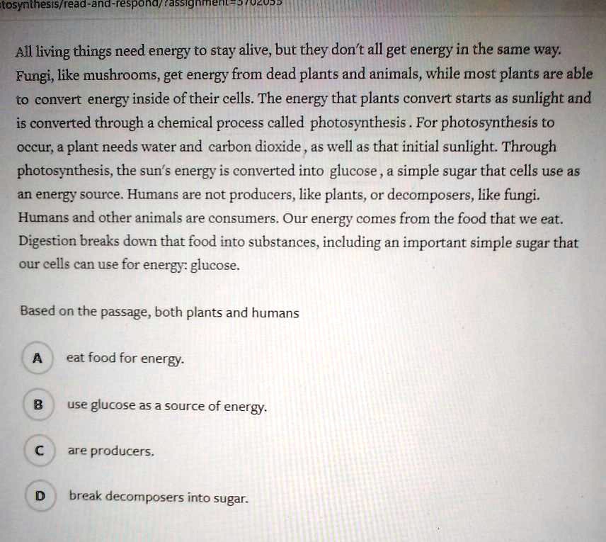 SOLVED: Based on the passage, both plants and humans eat food for ...