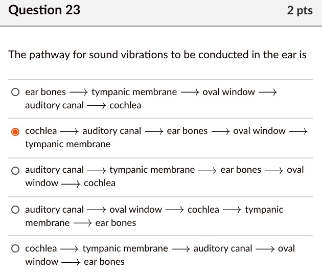 Question 23 2 pts The pathway for sound vibrations to be conducted in ...