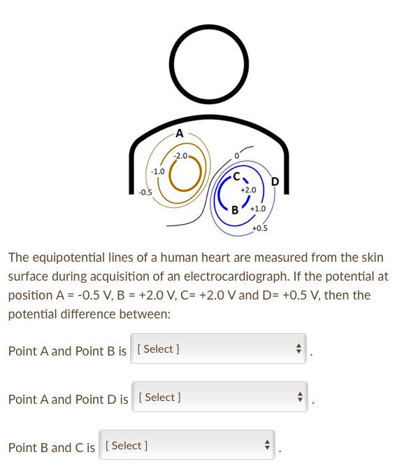 SOLVED:-0.5 +2.0 +1.0 +0.5 The equipotential lines of a human heart are ...