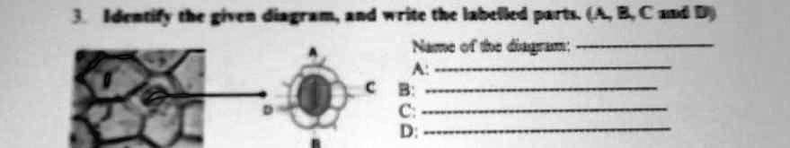SOLVED: Identify the Venn diagram and write the labeled parts (A, B, C ...