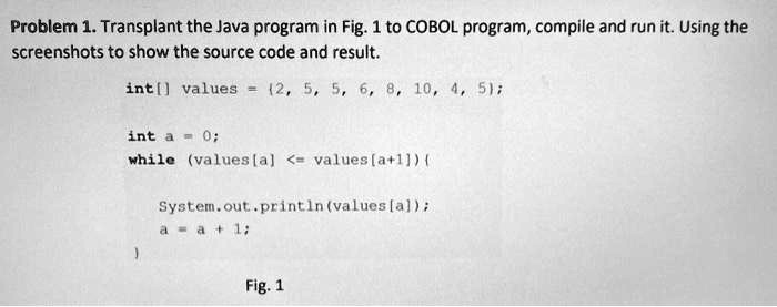 Solved Problem 1 Transplant The Java Program In Fig1 To A Cobol Program Compile And Run It 6553