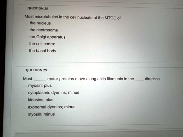 SOLVED:QUESTION 28 Most microtubules in the cell nucleate at the MTOC ...