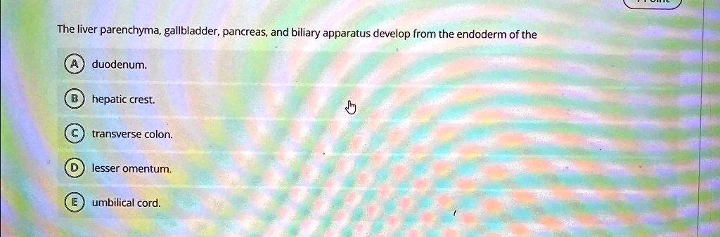 The liver parenchyma, gallbladder, pancreas, and biliary apparatus ...