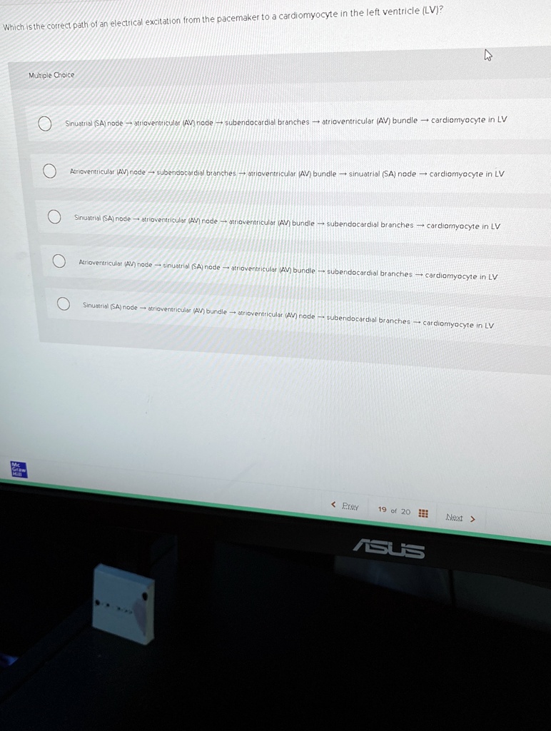 which is the correct path of an electrical excitation from the ...