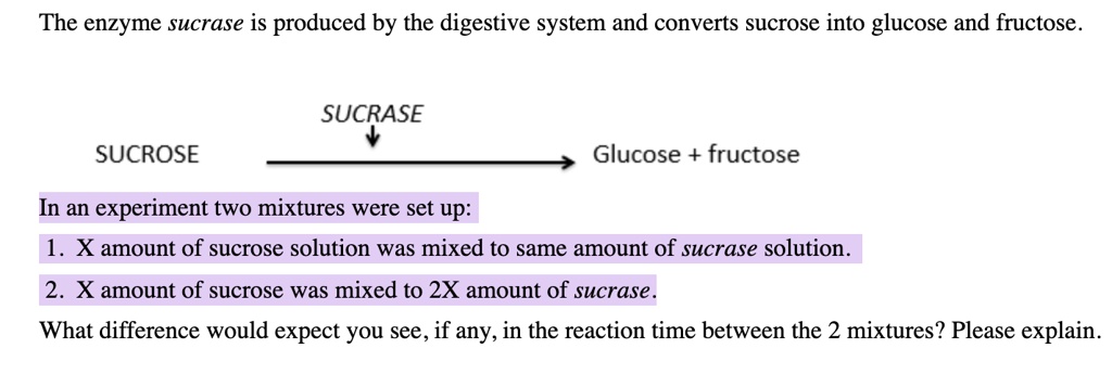 SOLVED: The enzyme sucrase is produced by the digestive system and ...