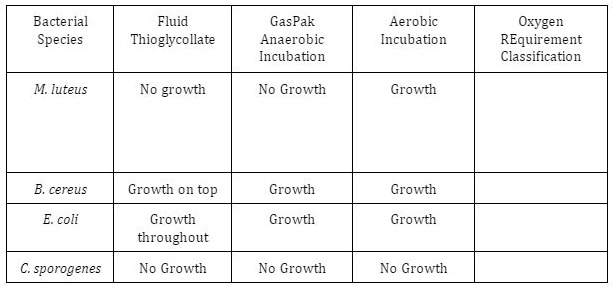 Bacterial Species Fluid Thioglycollate GasPak Anaerobic Incubation ...