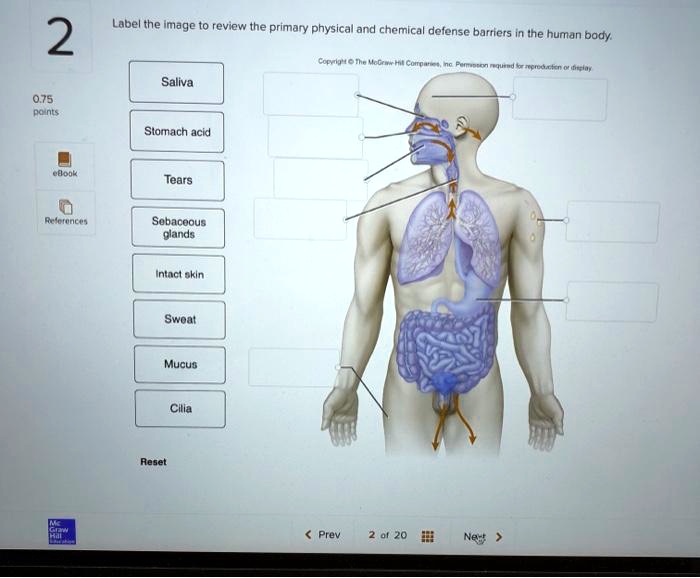 label the image to review the primary physical and chemical defense ...