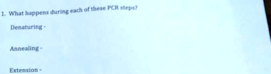SOLVED: What happens during each of these PCR steps' Denaturing ...