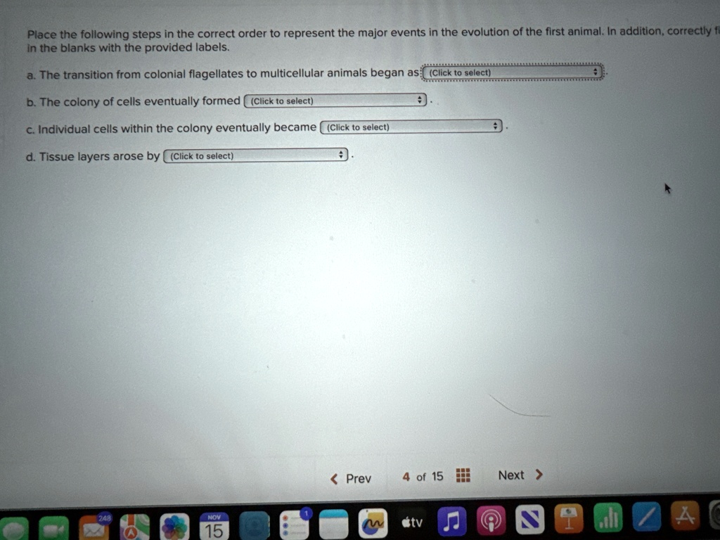 SOLVED: Place the following steps in the correct order to represent the ...