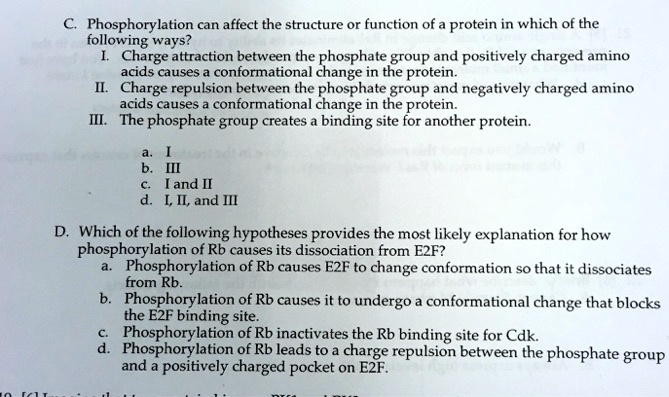 C. Phosphorylation can affect the structure or function of a protein in ...