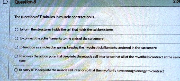 SOLVED: Question 8 The function of T-tubules in muscle contraction is. to form the structures ...