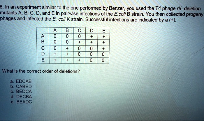 8. In an experiment similar to the one performed by Benzer, you used ...