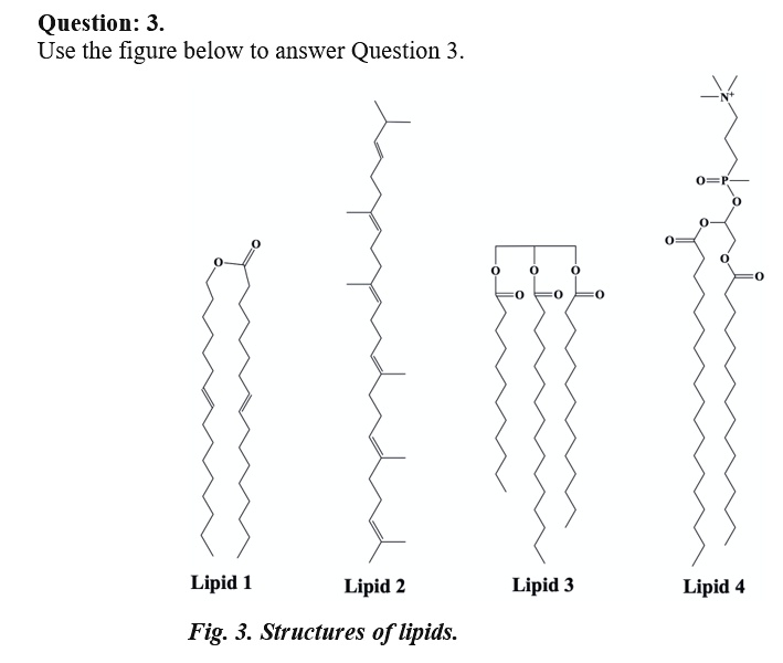 Question: 3. Use the figure below to answer which lipid is the most ...