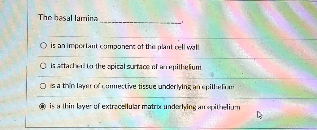 the basal lamina is an important component of the plant cell wall is ...