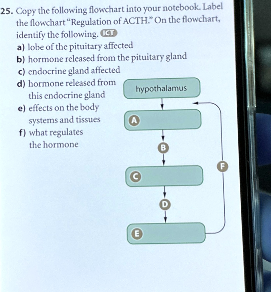 25. Copy the following flowchart into your notebook. Label the ...