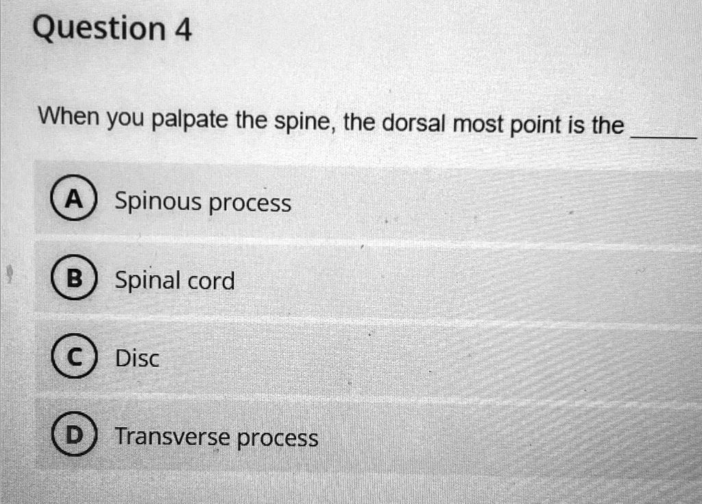 Question 4 When you palpate the spine, the dorsal most point is the A ...