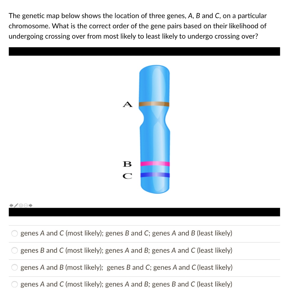 The genetic map below shows the location of three genes, A, B and C, on a particular chromosome ...