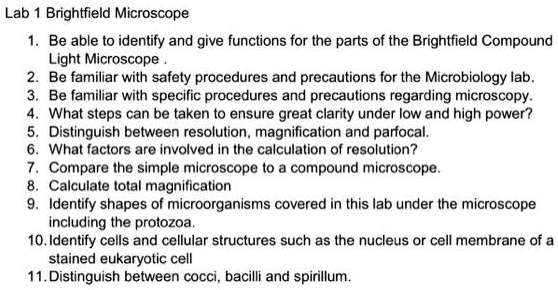 Lab Brightfield Microscope Be able to identify and give functions for ...
