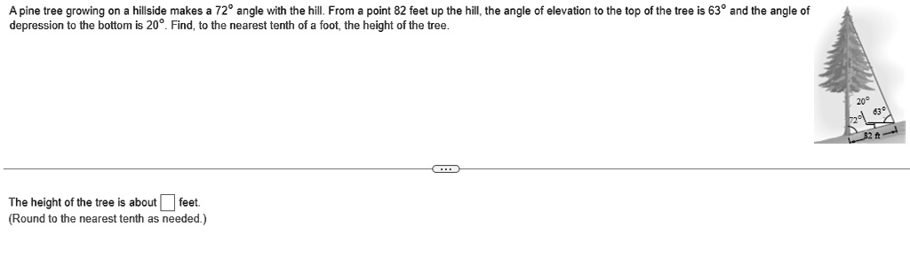 SOLVED: A pine tree growing on a hillside makes a 72° angle with the ...