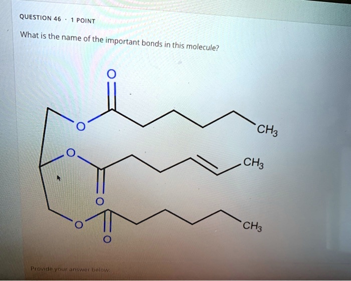 SOLVED: Question 46 POINT What is the name of the important bonds in ... SOLVED: Question 46 POINT What is the name of the important bonds in ...