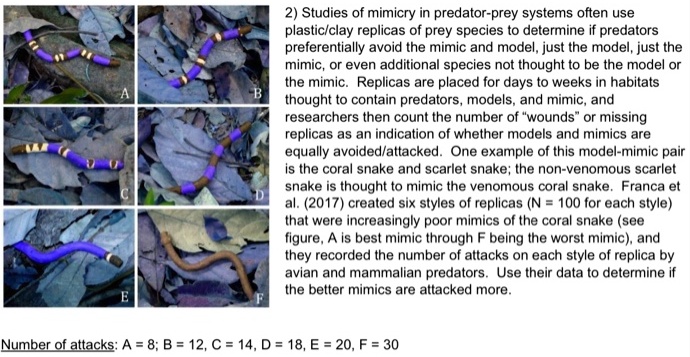 2 studies of mimicry in predator prey systems often use plasticlclay ...