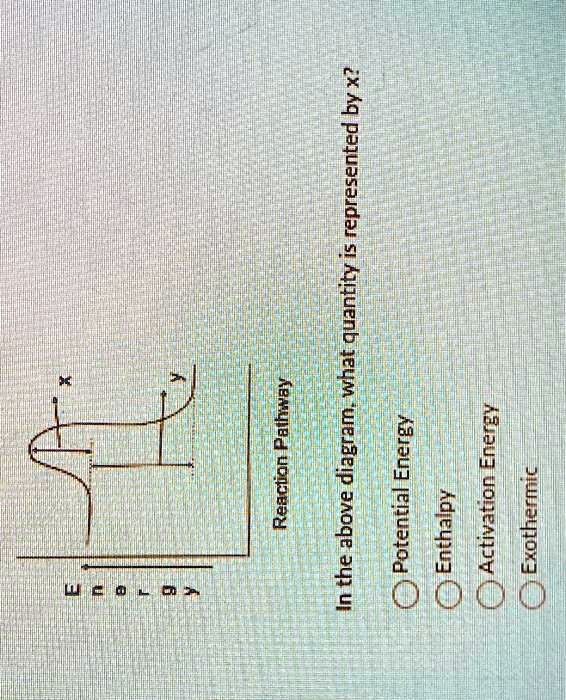 Energy X y Reaction Pathway In the above diagram, what quantity is ...
