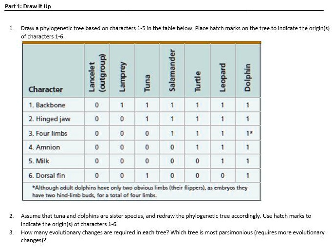 part 1 draw it up draw phylogenetic tree based on cha cters 1 5 the ...