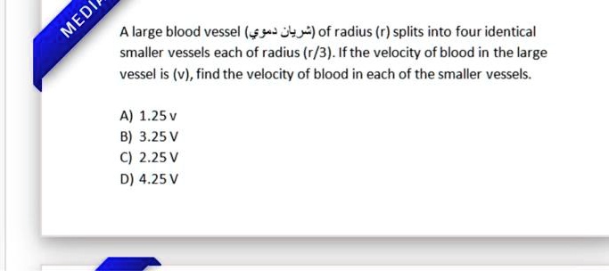 medi a large blood vessel 51 of radius r splits into four identical smaller vessels each of ...