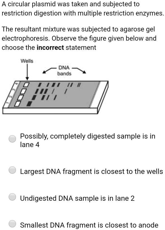 A circular plasmid was taken and subjected to restriction digestion with multiple restriction ...