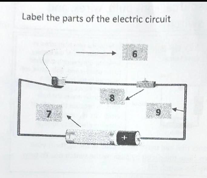 SOLVED: 'Label the parts of the electric circuit Label the parts of the ...