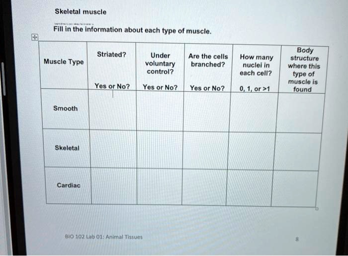 skeletal muscle fill in the information about each type of muscle ...