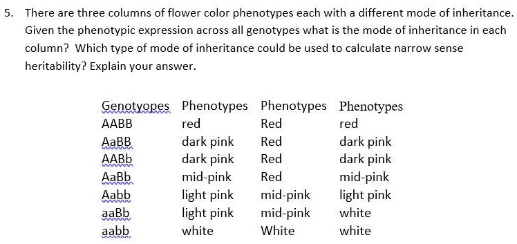 SOLVED: 5. There are three columns of flower color phenotypes each with ...