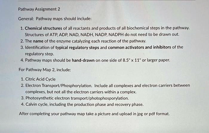 SOLVED: Pathway Assignment 2 General: Pathway maps should include: 1 ...