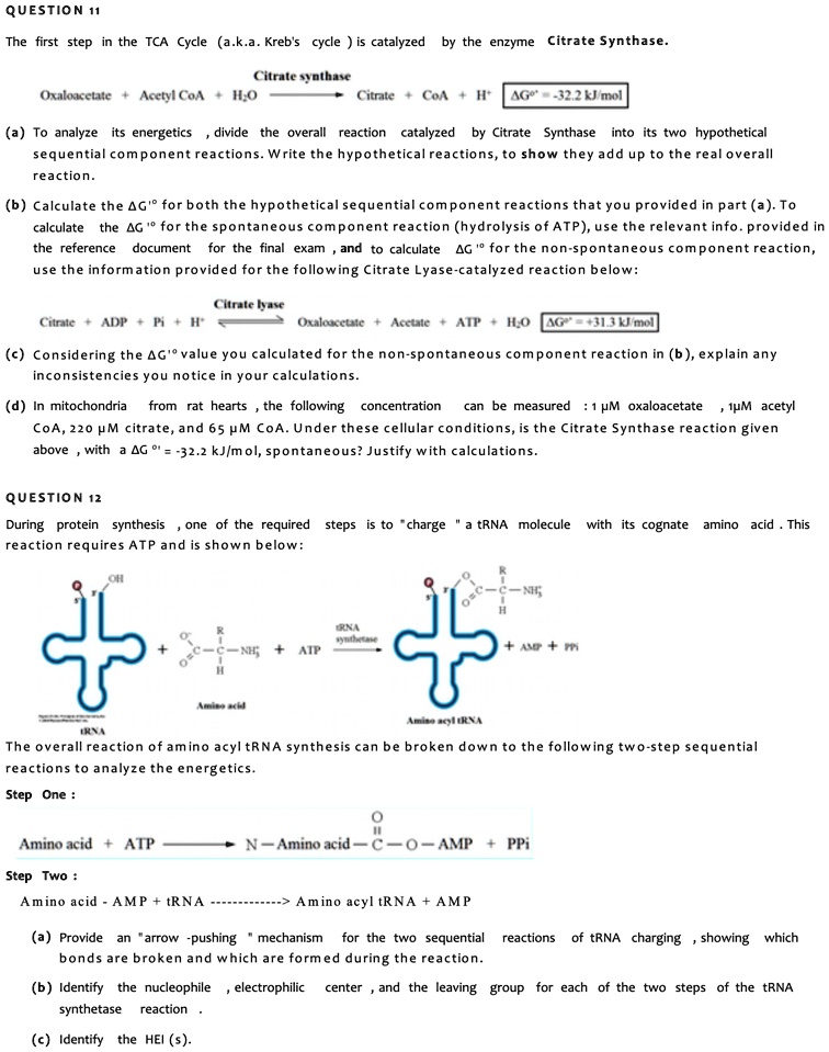 [GET ANSWER] QUESTION 11 The first step in the TCA Cycle (a.k.a. Kreb's cycle) is catalyzed by ...