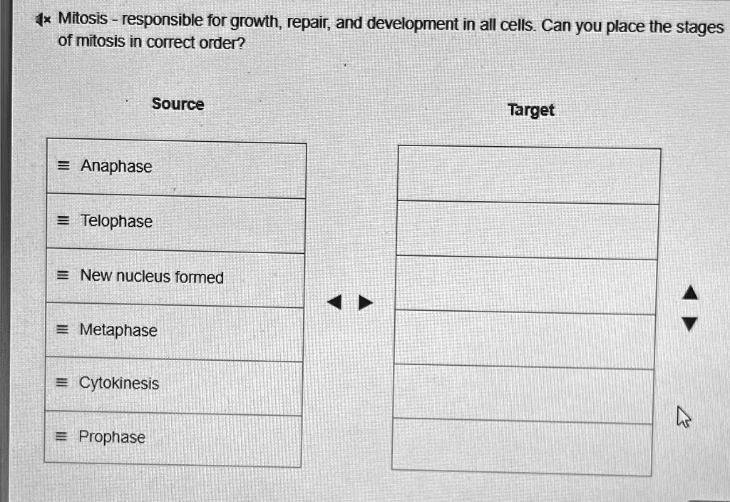 Mitosis - responsible for growth, repair, and development in all cells ...