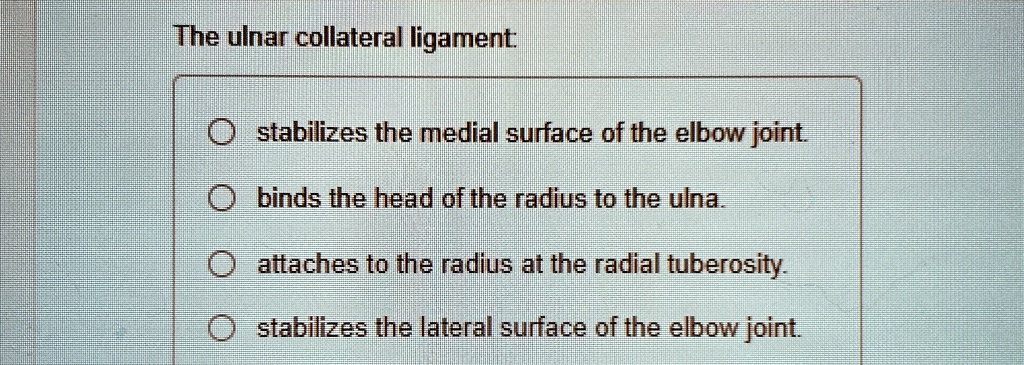 the ulnar collateral ligament stabilizes the medial surface of the ...
