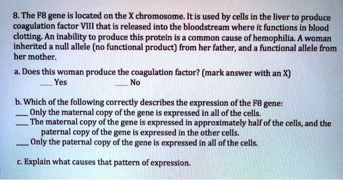 SOLVED:8. The F8 gene is located on the X chromosome Itis used by cells ...