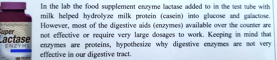 SOLVED: In the lab, the food supplement enzyme lactase was added to the ...