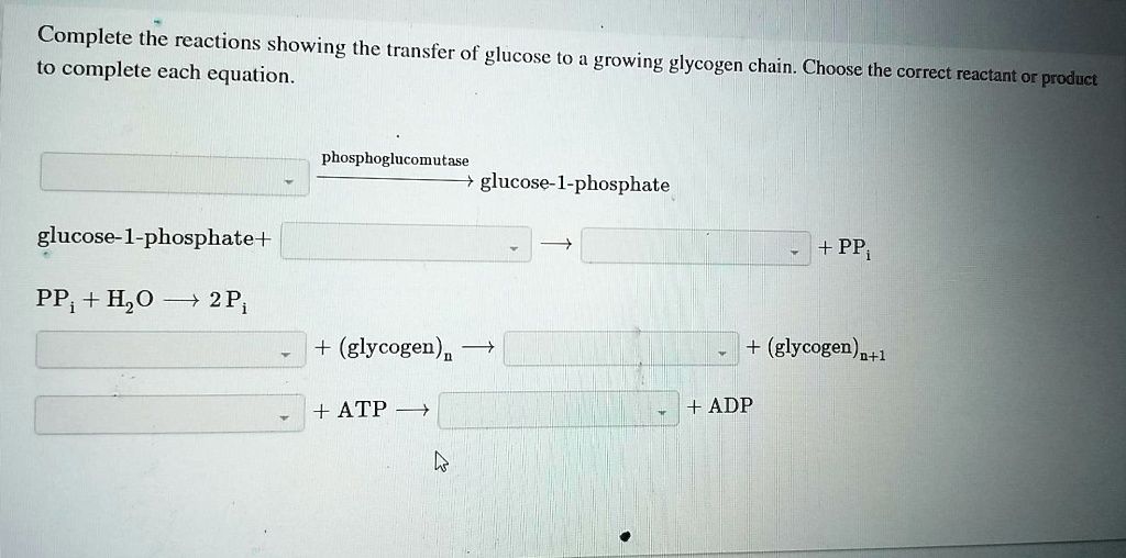 complete the reactions showing the transfer of glucose t0 a to complete ...