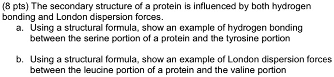 SOLVED: 8 pts) The secondary structure of a protein is influenced by ...