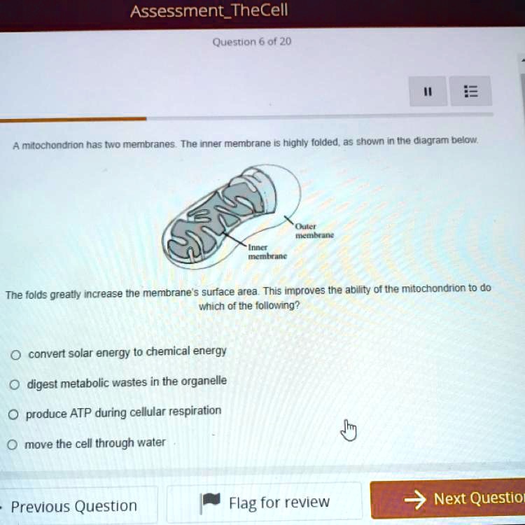 AssessmentTheCell Question 6 of 20 A mitochondrion has two membranes ...