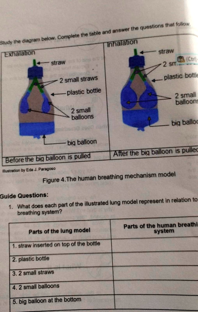 Study the diagram below. Complete the table and answer the questions ...