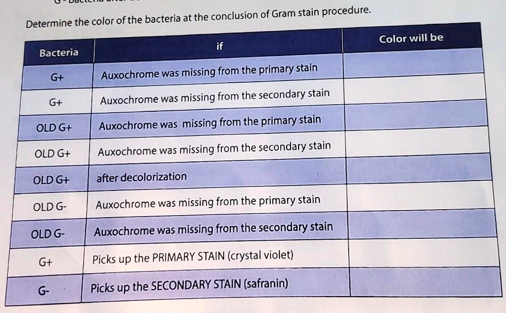 SOLVED: the color ofthe bacteria at the conclusion of Gram stain ...