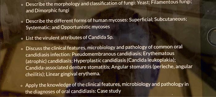 SOLVED: Texts: Describe the morphology and classification of fungi ...