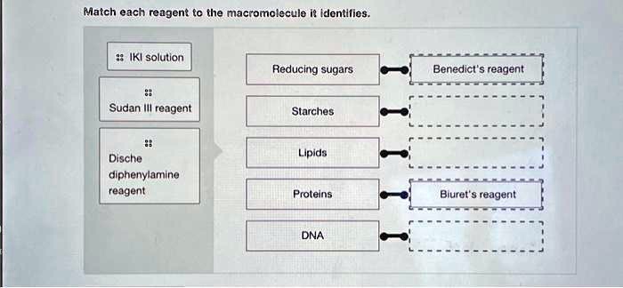 SOLVED: Match each reagent to the macromolecule it identifies: IKI ...